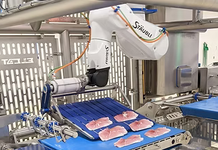 Robot modules Packaging Machinery | Crestpack